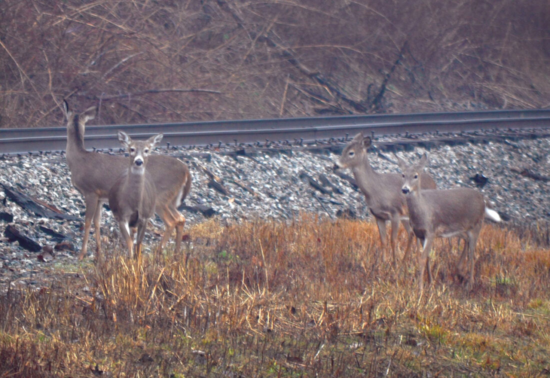 Waiting on a train | News, Sports, Jobs - Marietta Times